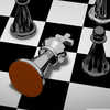 Ritratto di Check_mate